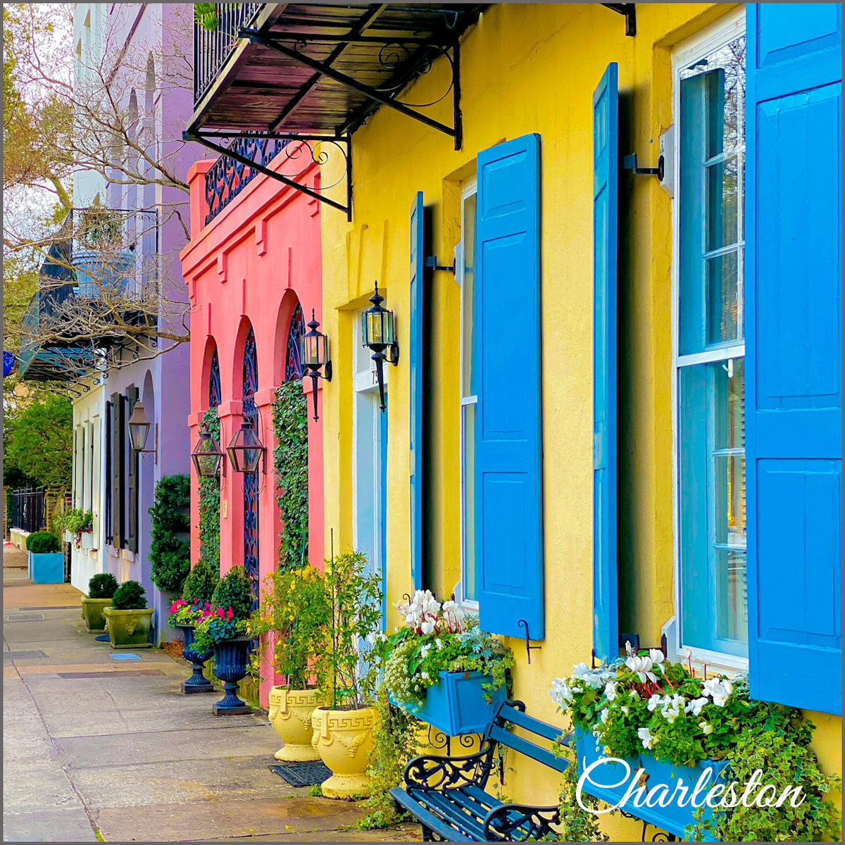 Rainbow Row, Charleston SC – Atlantic coasters